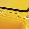 Amazon.com : Dewalt 65 Qt Roto Molded Cooler : Sports & Outdoors