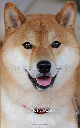 Shiba Inu Notebook: College Ruled Writer's Notebook for School, the ...