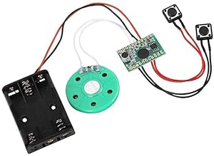 Amazon.com: Programmable Sound Recording Module with Looping Audio ...