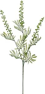 Amazon.com: 29" Pokeberry Spray Green (Pack of 12) : Home & Kitchen