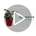GREENON® 10 Inch Plant Pot Pack of 4 (8 Pots) Self Water | Multi Colour ...