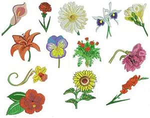 Amazon.com: Threadart Machine Embroidery Design Bundles - Plant Sets ...