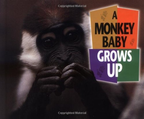 A Monkey Baby Grows Up (Baby Animals): Hewett, Joan, Hewett, Richard ...