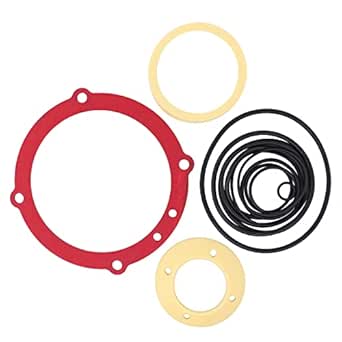 ApplianPar Cylinder Seal Gasket O-Ring Valve Spring Kit for Paslode ...