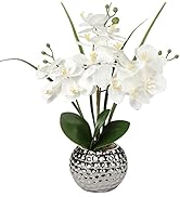Amazon.com: Briful Orchids Artificial Flowers 15" Large Fake Orchid ...