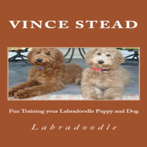 Amazon.com: The Complete Guide to Labradoodles: Selecting, Training ...