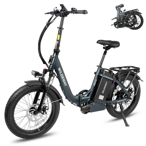 Top 10 Best Budget Folding Electric Bikes of 2024 - Goebikelife