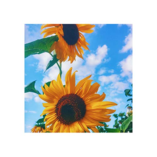 Doing Too Much by Devin Shamel on Amazon Music - Amazon.com