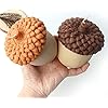 Amazon.com: Xidmold 3D Hazelnut Candle Mold Acorn Silicone Mold for ...