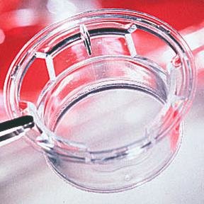 Corning Transwell-Clear Permeable Supports, 12-well; 0.4μm pore size ...