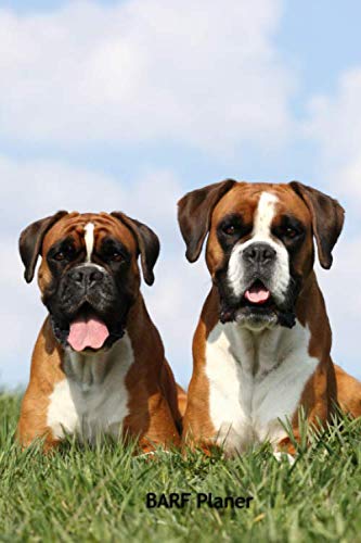 Barf Box – Die 15 besten Produkte im Vergleich - HundeINFOPortal