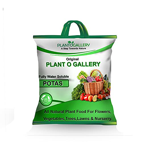 Live Green Potash Fertilizer 100% Water Soluble Pack.500Gm (Live Green ...