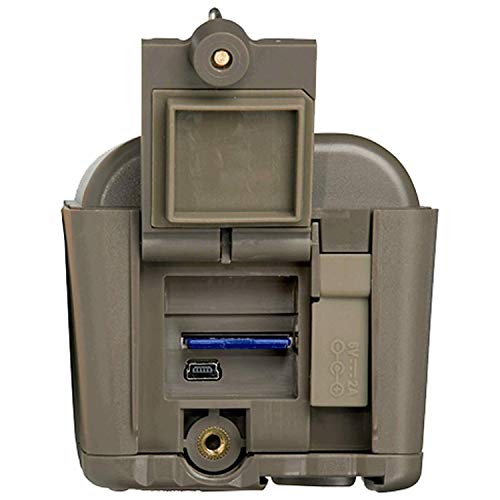 The 23 Best Cuddeback Hunting & Trail Cameras of 2025 [Verified ...