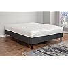 Amazon.com: Hollywood Bed Frames Enforce Base Platform, Queen, Gray ...