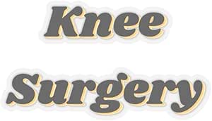 Amazon.com: Knee Sticker – Funny and Quirky Vinyl Sticker for Laptops ...