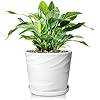 Amazon.com: YUFDA 8 Inch Plant Pot, Ceramic Planter with Drainage and ...