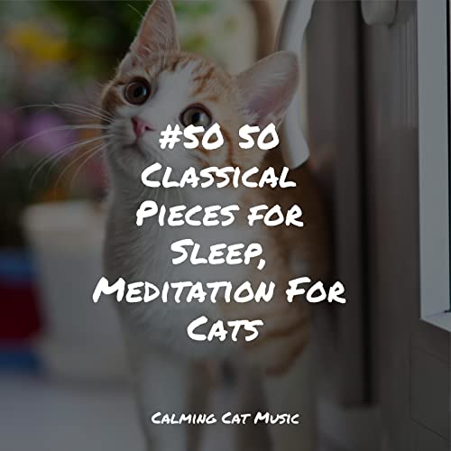 Amazon Music - Music For Cats Peace, Calm Music for Cats, Official Pet ...