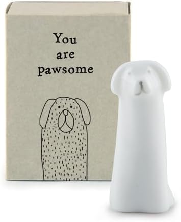 Amazon.com: East of India Mini Porcelain Matchbox Gift - Dog, You Are ...