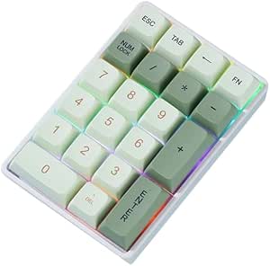 Amazon.com: Mini Wireless Mechanical Numeric Keypad 21 Keys, Bluetooth ...
