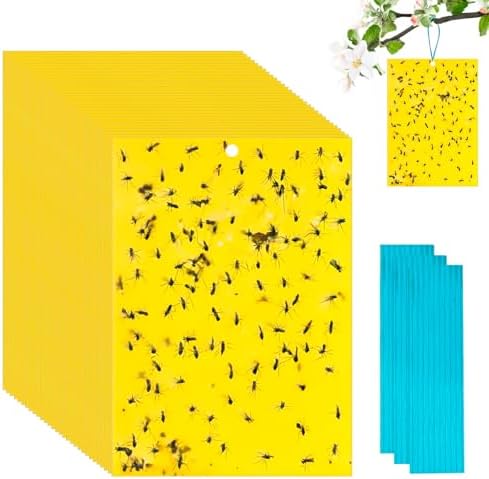 Yellow Sticky Fly Traps 30 Pack | Dual-Sided Adhesive for Fruit Flies ...