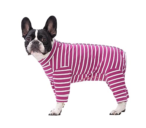 Pyjama Pour Chien – Les 15 meilleurs produits dans la comparaison ...