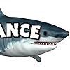 Amazon.com: Shark Custom Name Vinyl Wall Decal Sticker Art for Boys ...