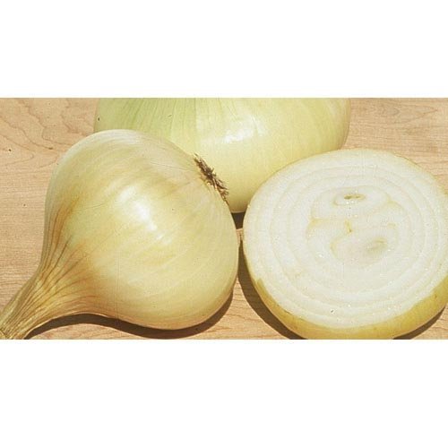 Amazon.com: Yellow Granex Hybrid Onion - Packet (250 seeds) : Patio ...