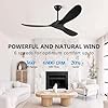 Amazon.com: Eliora 52 Inch Ceiling Fan without Lights, Wood Ceiling ...