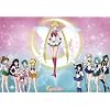 Amazon.com: Sailor Moon - Manga/Anime TV Show Poster (Sailor Warriors ...