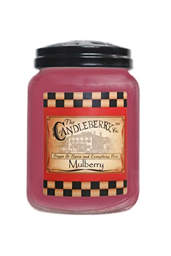 Best Mulberry Jar Candles: Elevate Your Space with Enchanting Scents ...