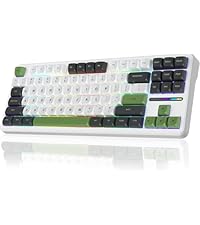 Amazon.in: Buy AULA M75 Tri-Mode (2.4G/Bluetooth/Wired) Hot Swappable ...