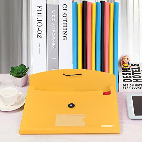 Snapklik.com : 7 Pocket Accordian File Folders, Expanding File Folder ...