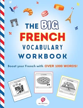 Amazon.com: The Big French Vocabulary Workbook: Boost your French with ...