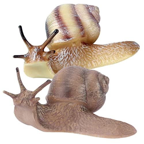 Toyvian 2pcs Snail Model Plastic Models Desktop Toys Animals for Kids ...