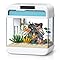 Amazon.com : Fish Tank Aquarium 2.2 Gallon Fish Bowl with Humidifier 7 ...