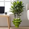 Amazon.com : Teagas Ceramic Pot for Plants 11 Inch - Plant Pot for ...