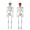 Amazon.com: AW Pirate Life Size Skeleton Full Size Skeleton Human 5.4 ...