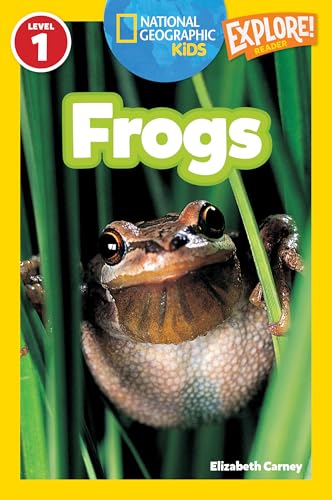 Learning about frogs and their life cycle – fun activity ideas - Wonder ...