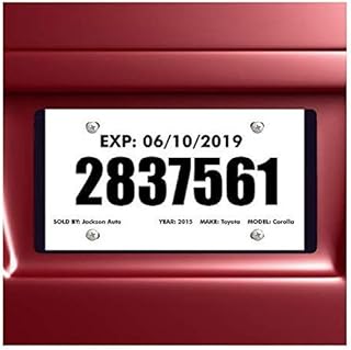 Understanding Paper Tags: Temporary Car Registration Explained Simply ...