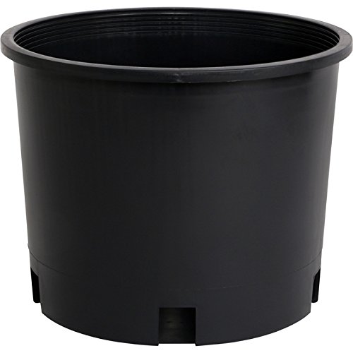 Snapklik.com : Gro Pro Sunlight Supply Premium Nursery Pot 3-Gallon ...