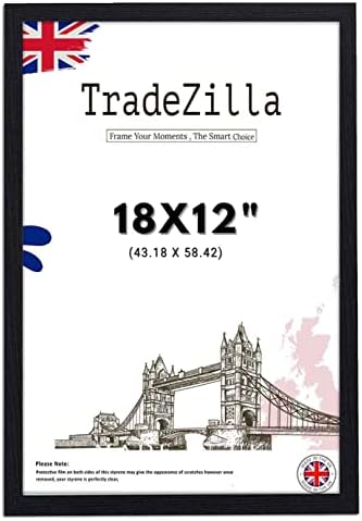 TradeZilla 18x12 inch Poster Frame in Black with Crystal Clear Perspex ...