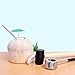 Amazon.com: Coconut Opener Set for Young Coconut Opener Kit by FANATU ...