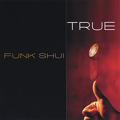 Play True by Funk Shui on Amazon Music