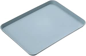 Fast Food Tray Rectangular Serving Trays Serving Tray for Indoor ...