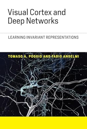 Visual Cortex and Deep Networks: Learning Invariant Representations (Computational Neuroscience ...