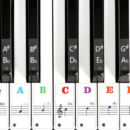 Snapklik.com : 2 Pack Piano Keyboard Stickers For 88/61/54/49/37 Key ...