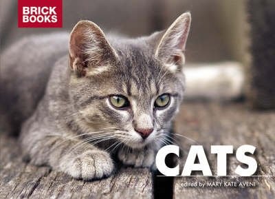 Cats: Seymour Simon: 9781847321541: Amazon.com: Books