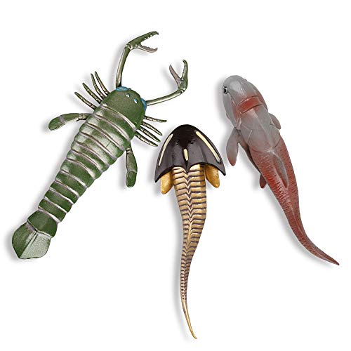 Snapklik.com : 10PCS Ancient Marine Creatures, Cambrian Sea Animal ...