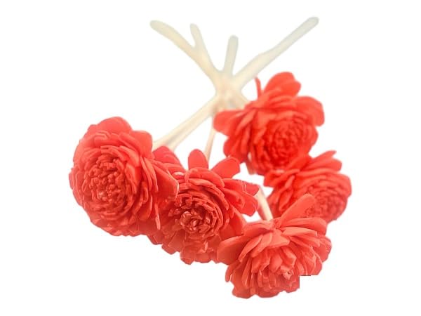 Amos Reed Diffuser Flower Sticks, 8 Inch Natural Rattan Wood Sticks ...