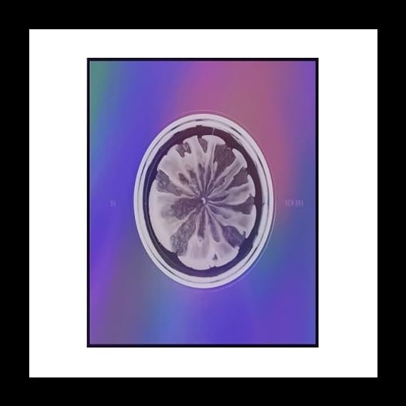 Amazon.com: XG New DNA 1st Mini Album X Version CD+78p PhotoBook+2ea ...
